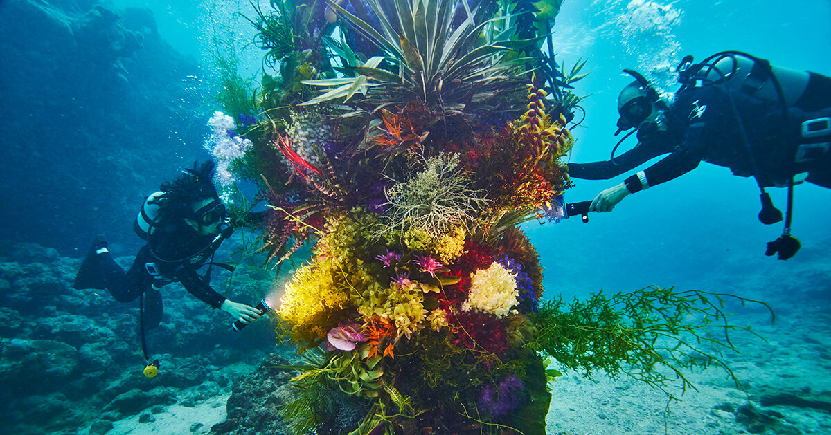 azuma makoto's floral installation blooms in japan's uncharted water