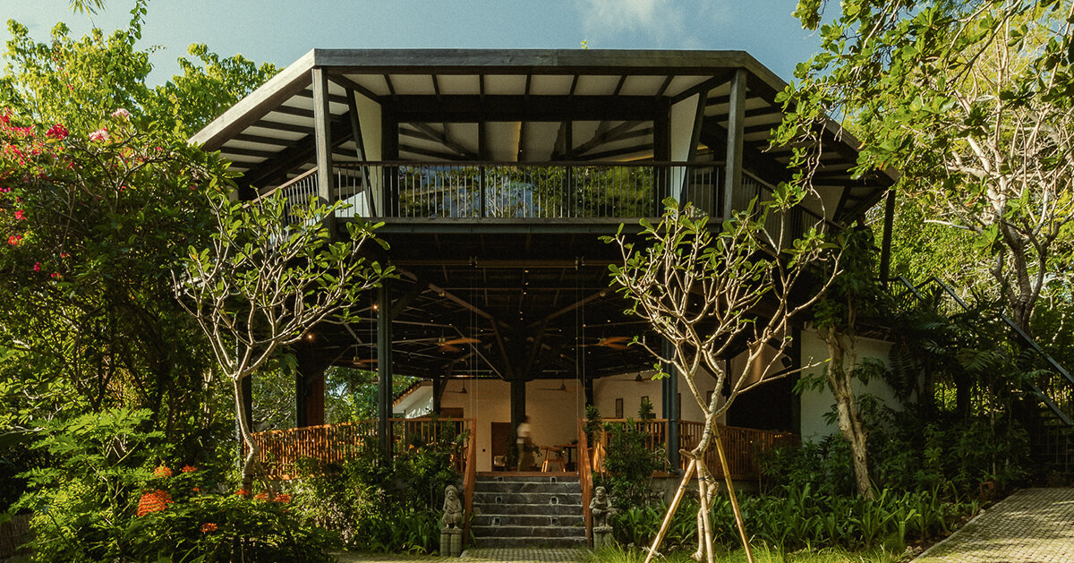 Octagons In Nature JPEG | Nature, Animals, & Random Fun Facts | The