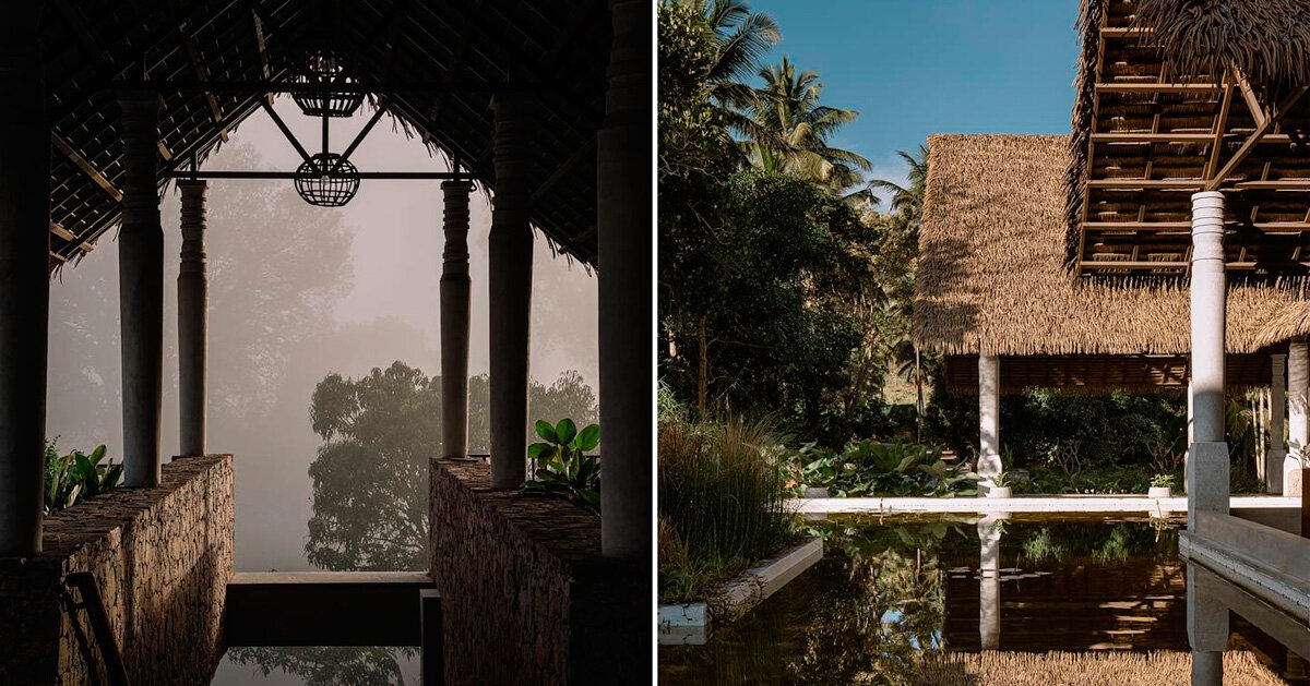 maayaa retreat in south india reflects tropical modern aesthetic