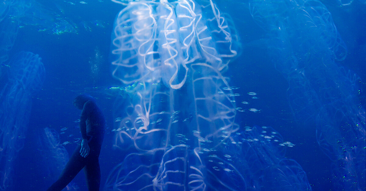 coral reef cooling project employs heat-absorbant underwater structures