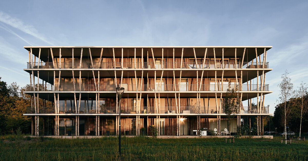 a series of tree trunk columns runs along residential building's facade