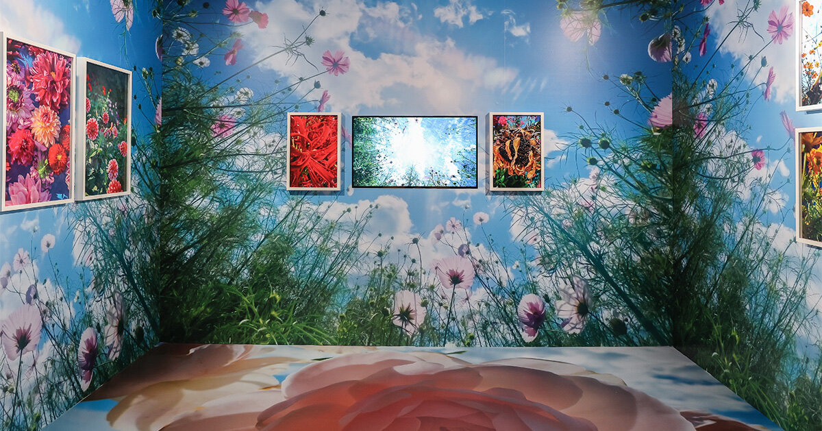 shot on iPhone 15, apple's 'I remember you' exhibition illustrates the ...