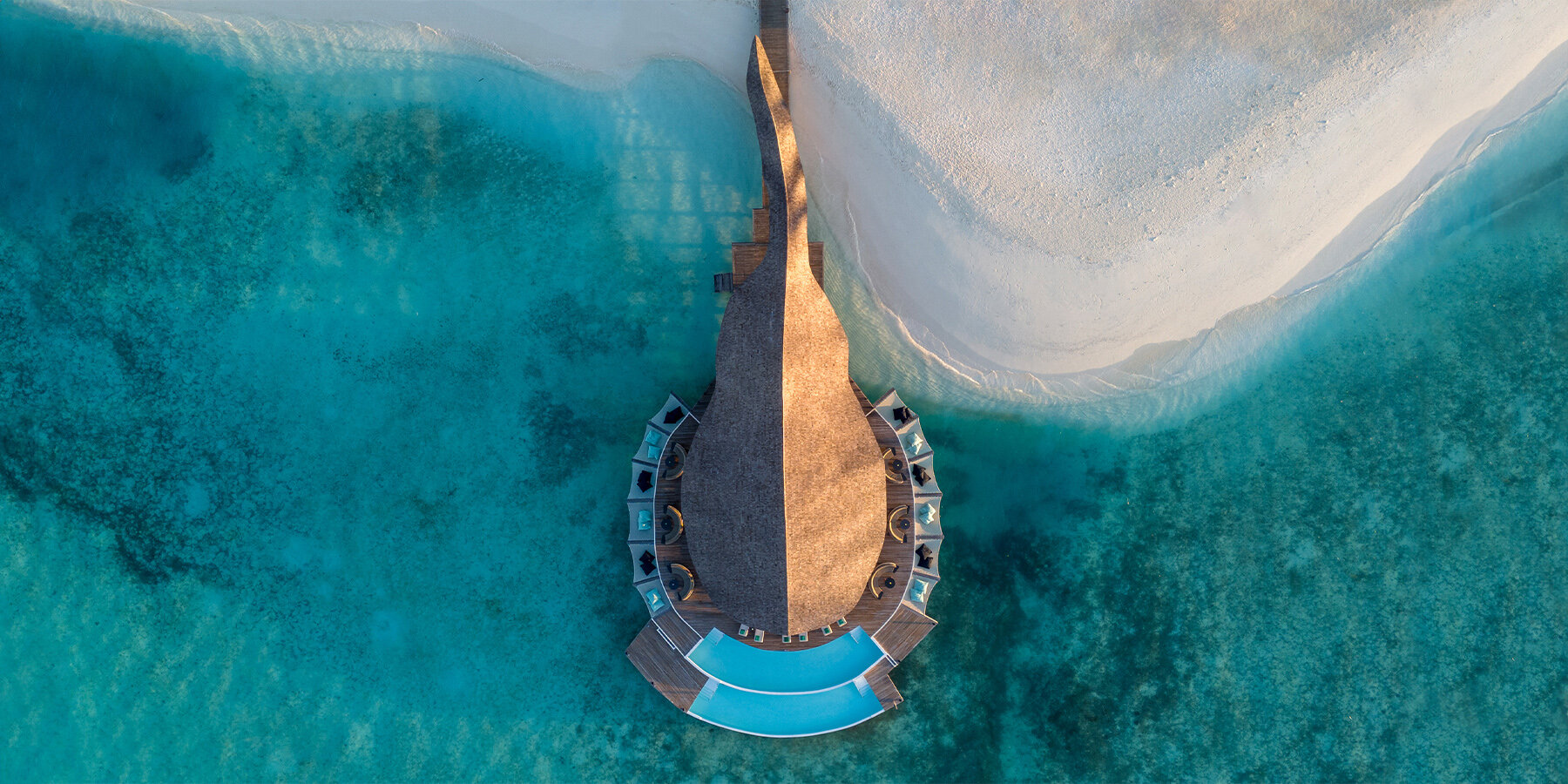 atelier nomadic's overwater restaurant rises like a sea creature in the ...