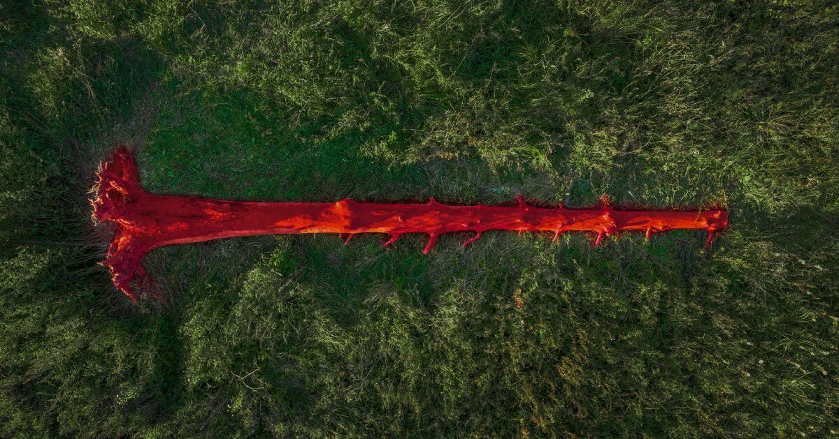 gregory orekhov's land art revives dead spruce tree in moscow