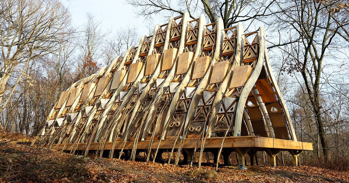 terreform ONE builds terrestrial reef-like structure for both humans ...