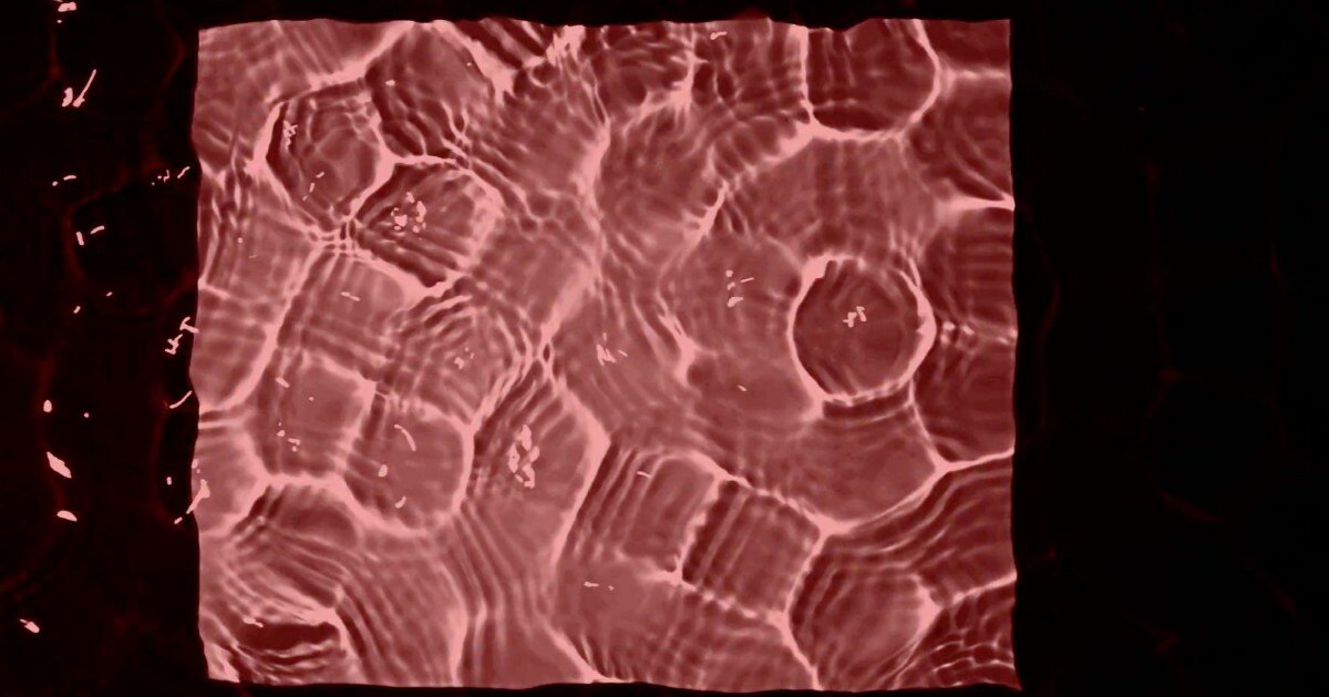 lachlan turczan transforms water patterns into liquid sculptures