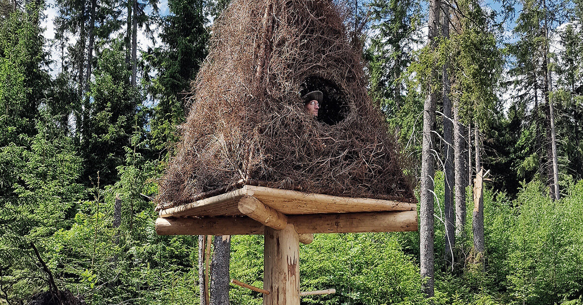 fallen tree roots form scenic forest lookout by ulf mejergren in sweden