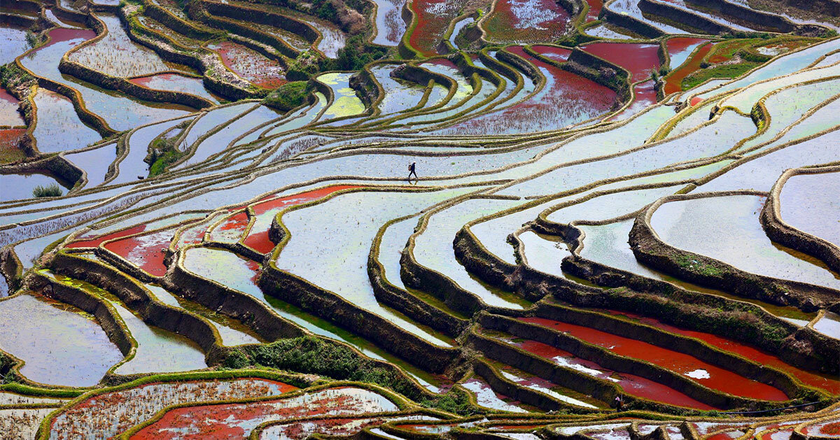 earth photo 2024: global photographers capture compelling stories about ...