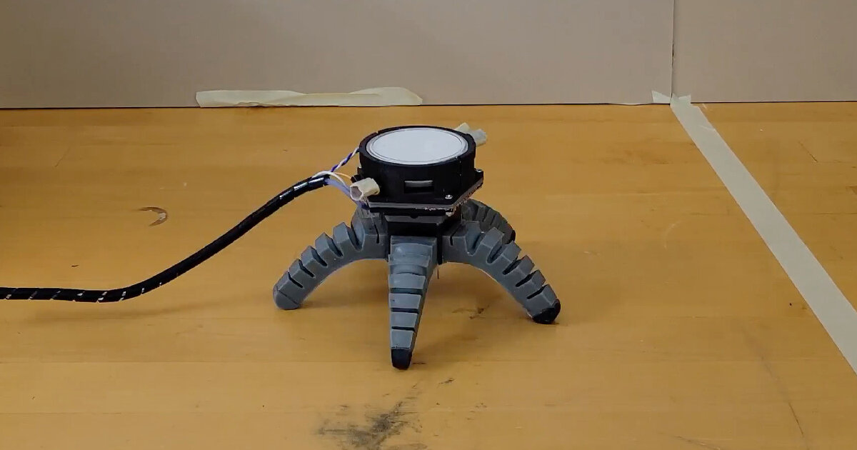 mycelium has electrical signals that can control biohybrid robots and ...