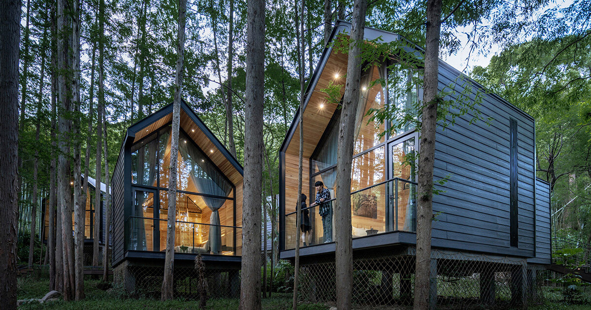 GLA design elevates detached hotel cabins amid towering trees in ...