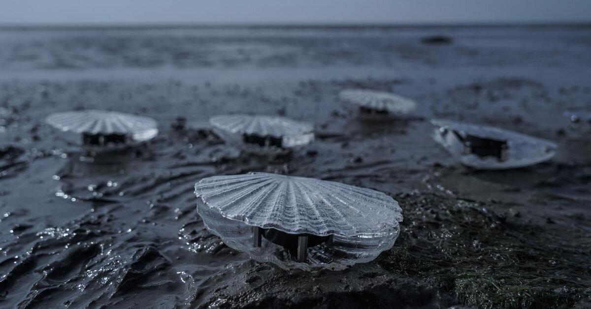 kinetic clam sculptures convert data from bodies of water into evolving ...