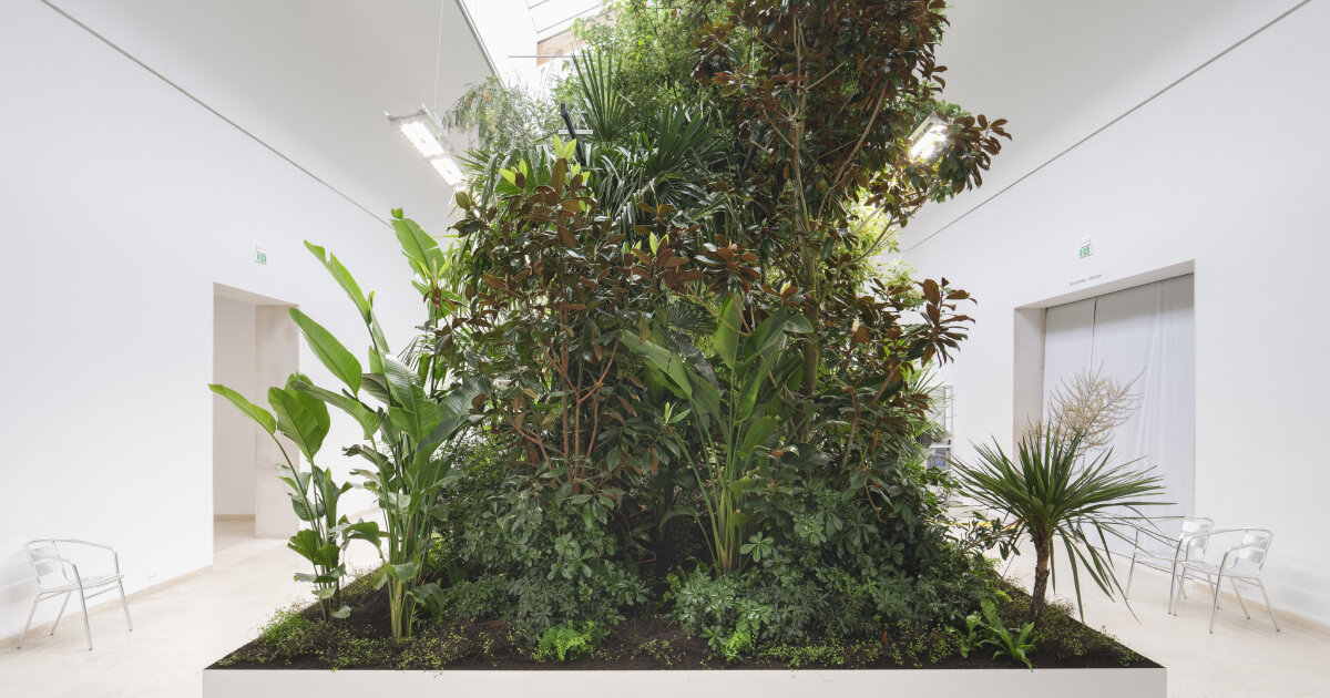 bas smets on building plant-filled biospheres in venice biennale