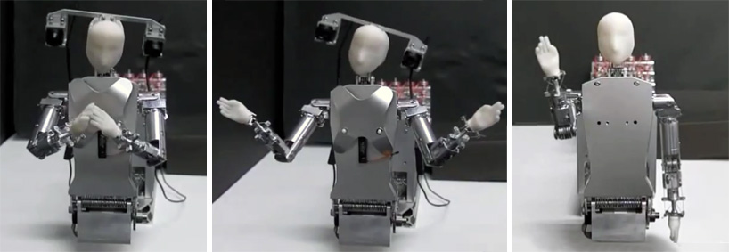 shoulder perching robot companion