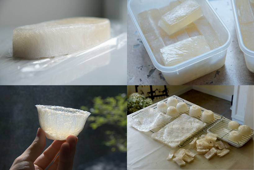 AGAR PLASTICITY — A POTENTIAL USEFULNESS OF AGAR FOR PACKAGING AND MORE ...