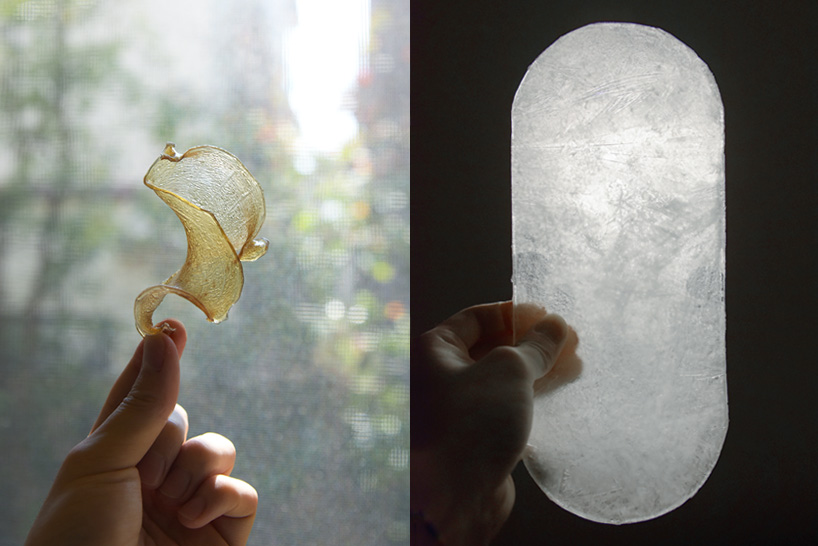 AGAR PLASTICITY — A POTENTIAL USEFULNESS OF AGAR FOR PACKAGING AND MORE ...