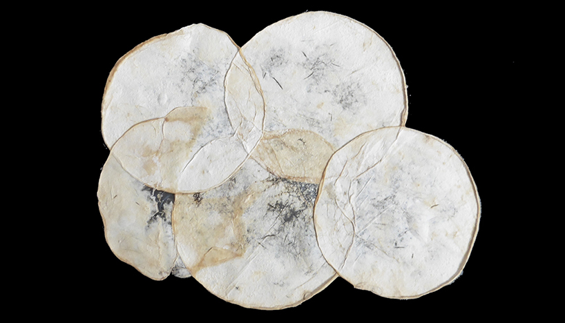 aniela hoitink uses mushroom mycelium to weave dress