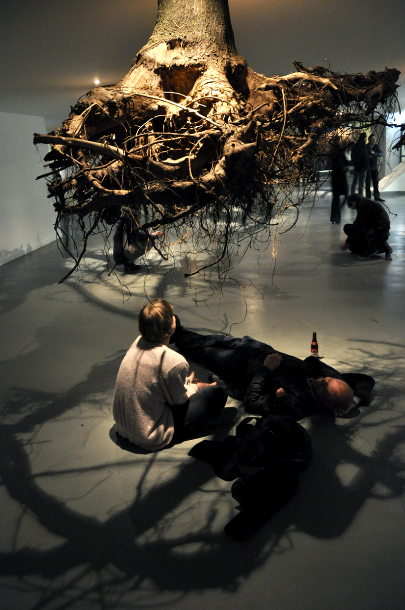 tree roots emerge from the ceiling in an installation by giuseppe licari