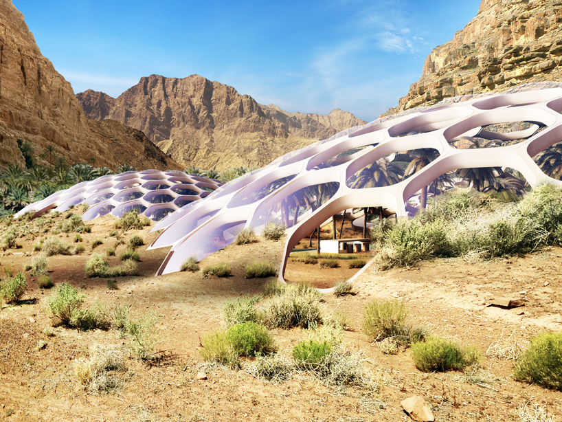 baharash architecture unveils self-sustaining biodomes wildlife ...