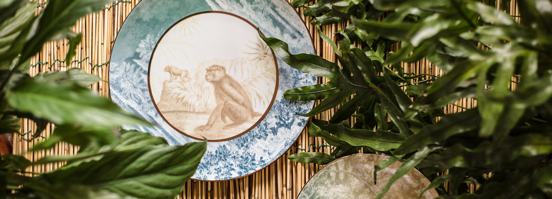 vito nesta's grand tour collection reveals more indian, egyptian, and ...