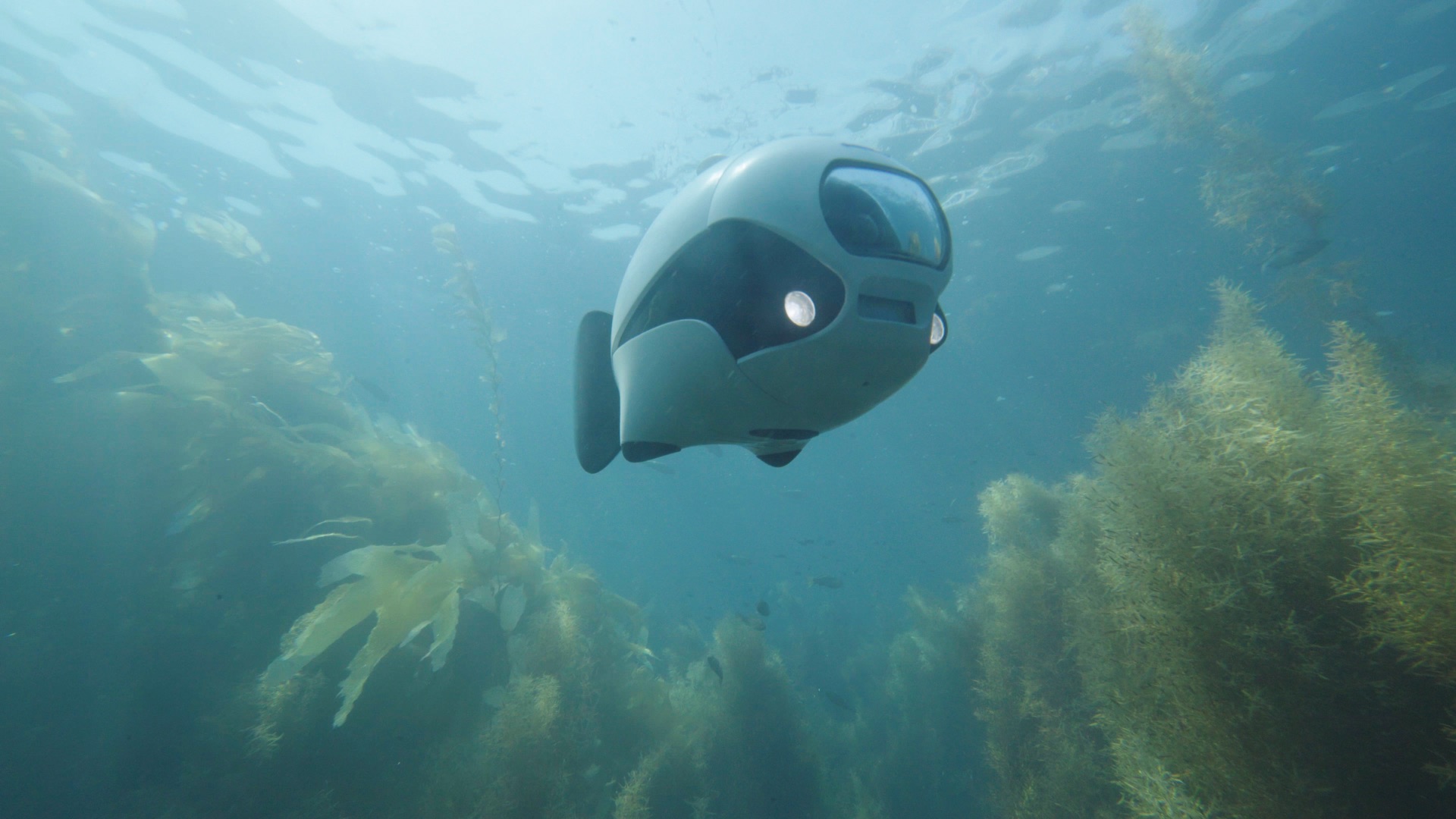 introducing BIKI, the first bionic + wireless underwater drone