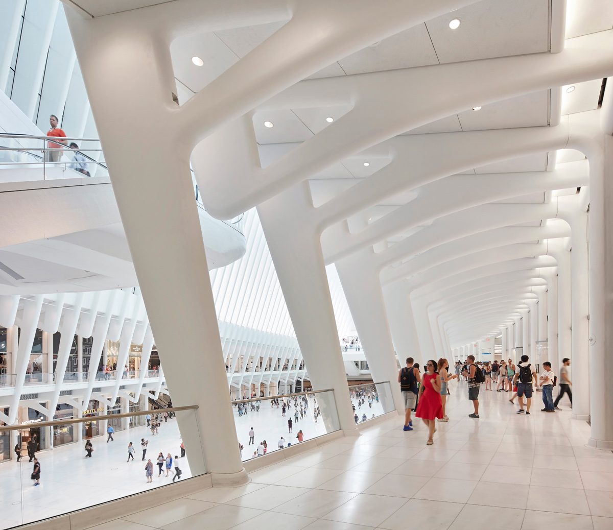 oculus WTC new york by santiago calatrava