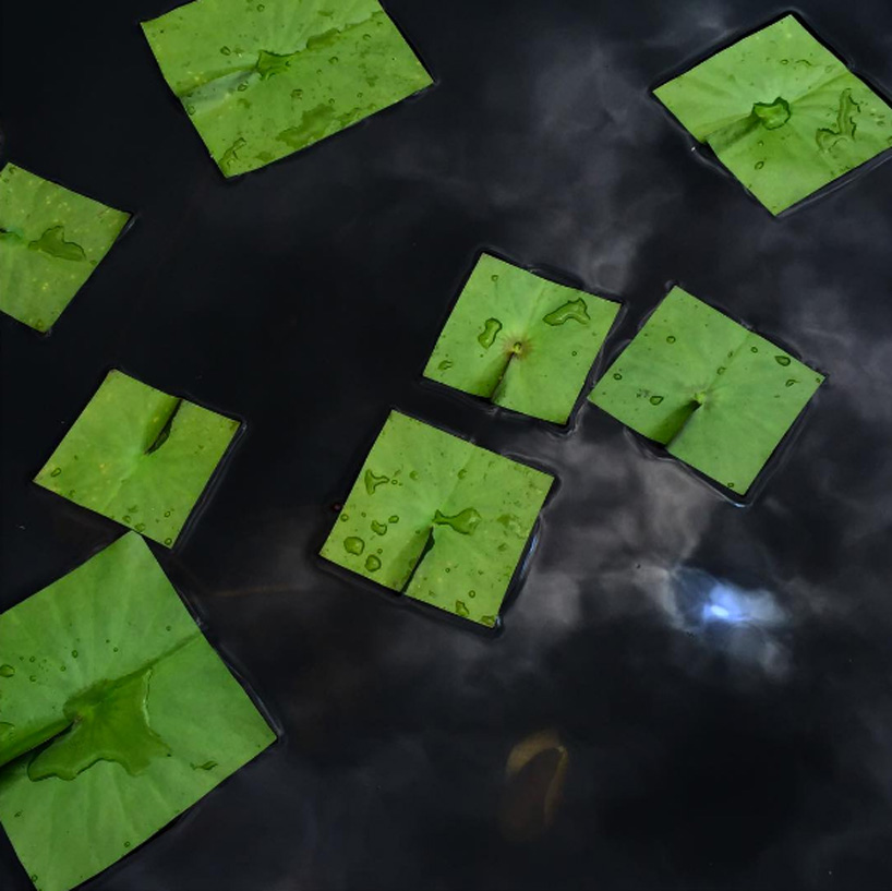 bake maeda's square flower and leaf art challenges nature's forms