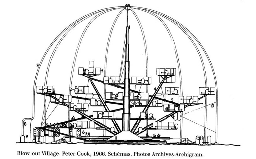 peter cook interview