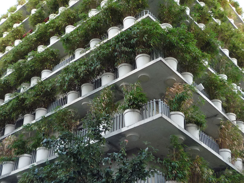 edouard francois interview