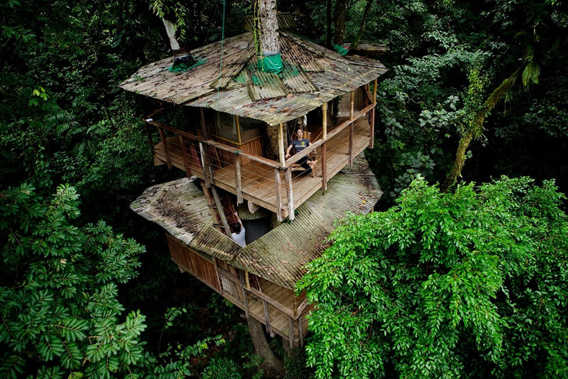 finca bellavista: a sustainable treehouse community, costa rica
