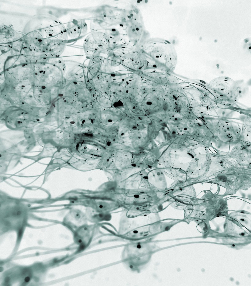 bubble art photography by tomoya matsuura