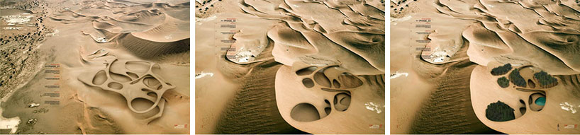 magnus larsson sculpts the saharan desert with bacteria