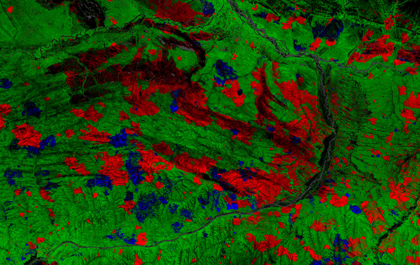 google highlights global deforestation with interactive map