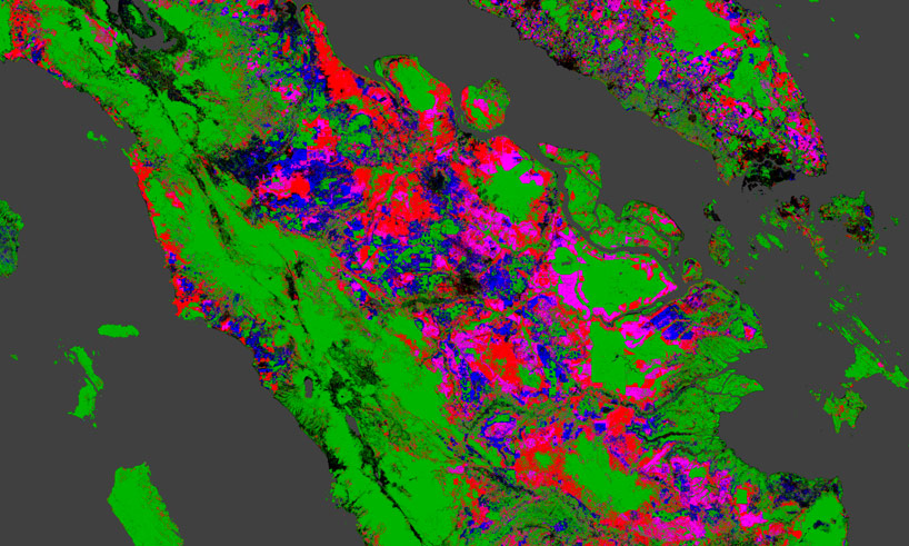 google highlights global deforestation with interactive map