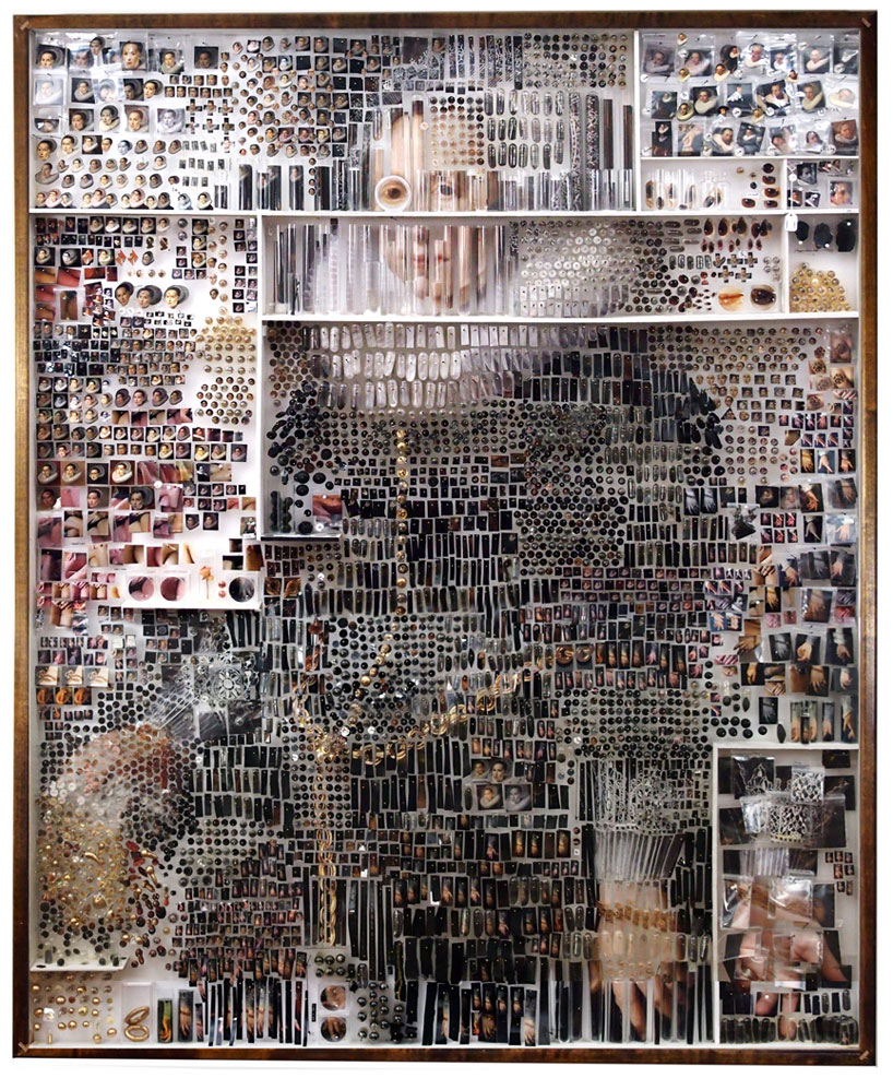 hundreds of specimens make dutch portraits by michael mapes