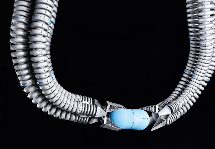 elephant trunk-influenced bionic handling assistant by festo learns ...