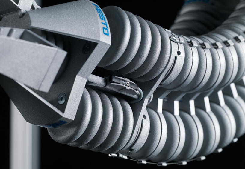 elephant trunk-influenced bionic handling assistant by festo learns ...