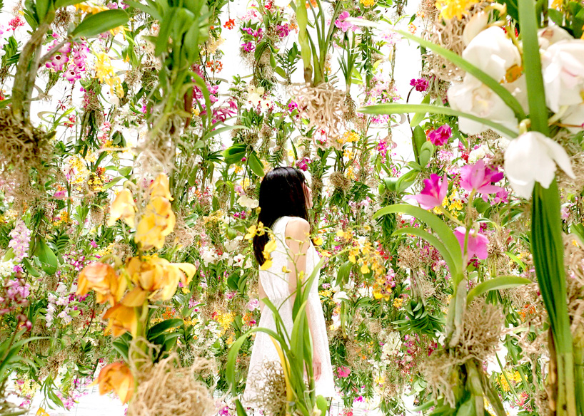 teamlab immerses visitors in an interactive floating flower garden