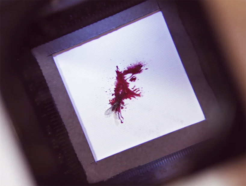 squished mosquitos make painted blood portraits for bug spray ad