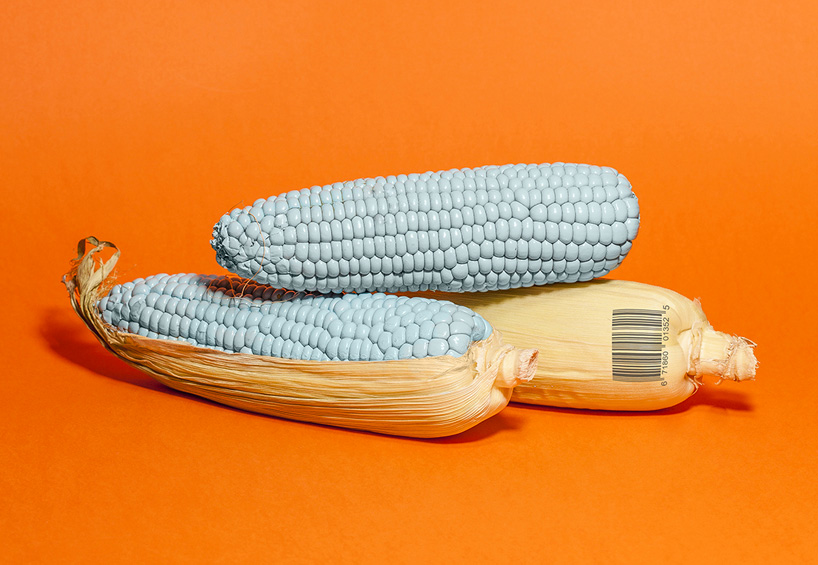 enrico becker + matt harris look at the future of genetically modified ...