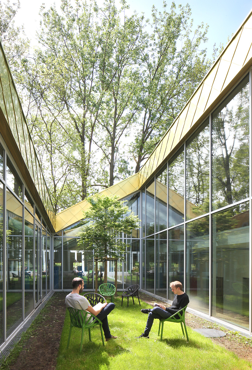 plus office architects clads sustainable library completely with golden ...