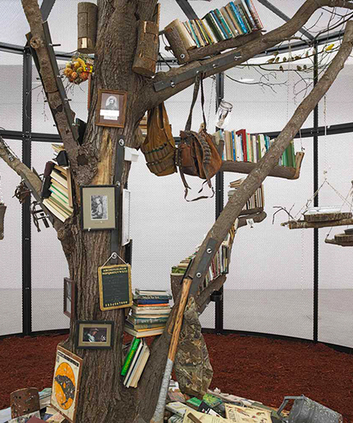 mark dion builds a library for the birds of new york