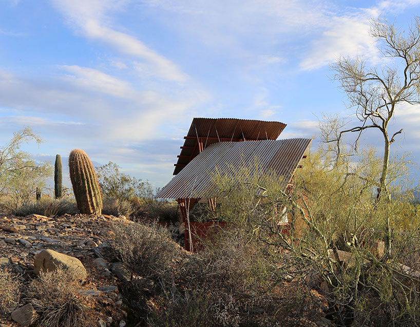 aixopluc develops a series of survival structures in the sonoran desert