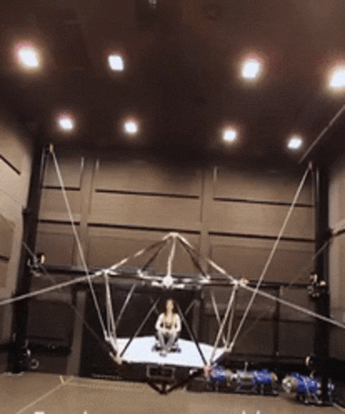 IPA + MPI create suspended, robotic VR simulation cage