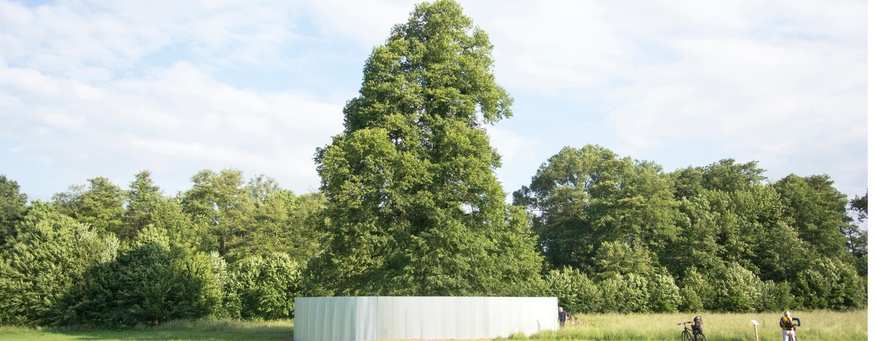 ENCERCLER makes a lonely tree the star attraction in riorges