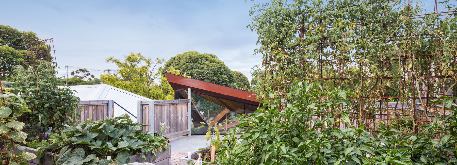 angular corten roof folds down over leaf house extension in melbourne