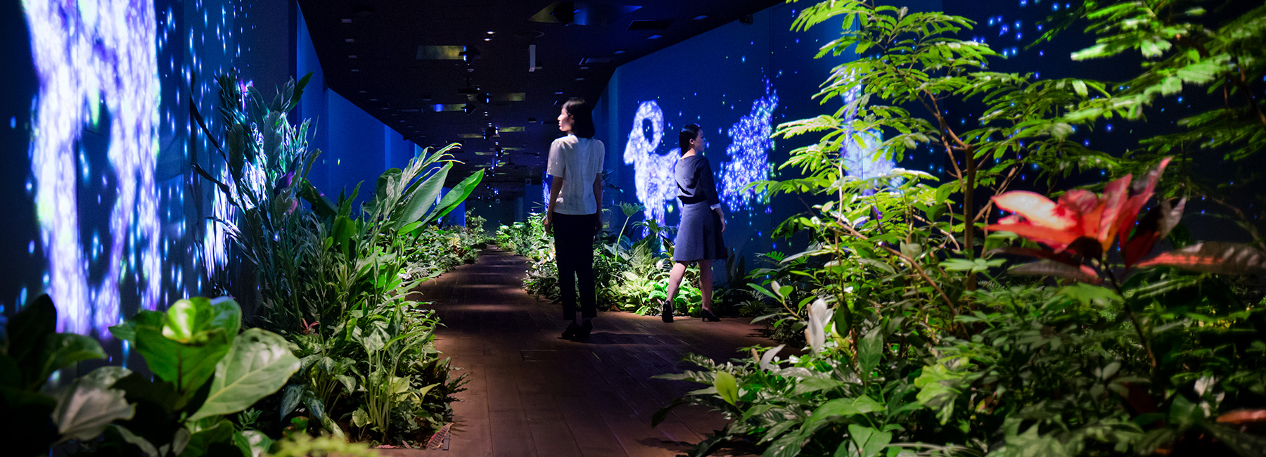 teamlab's digital office for DMM in tokyo features a 1-kilometer-long desk