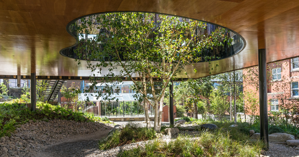 dRMM completes the world’s first building made from hardwood CLT