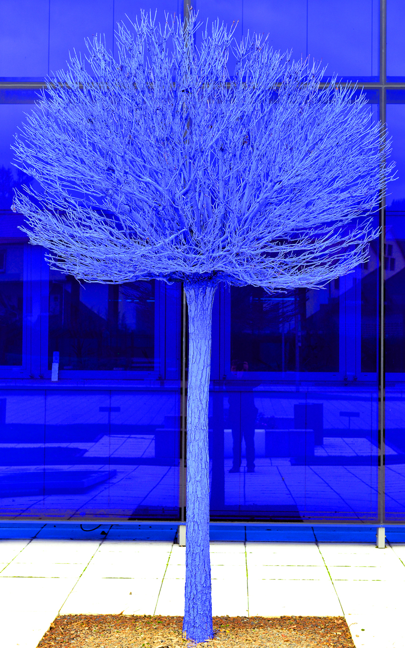 konstantin dimopoulos paints 'blue trees' to help cities go green