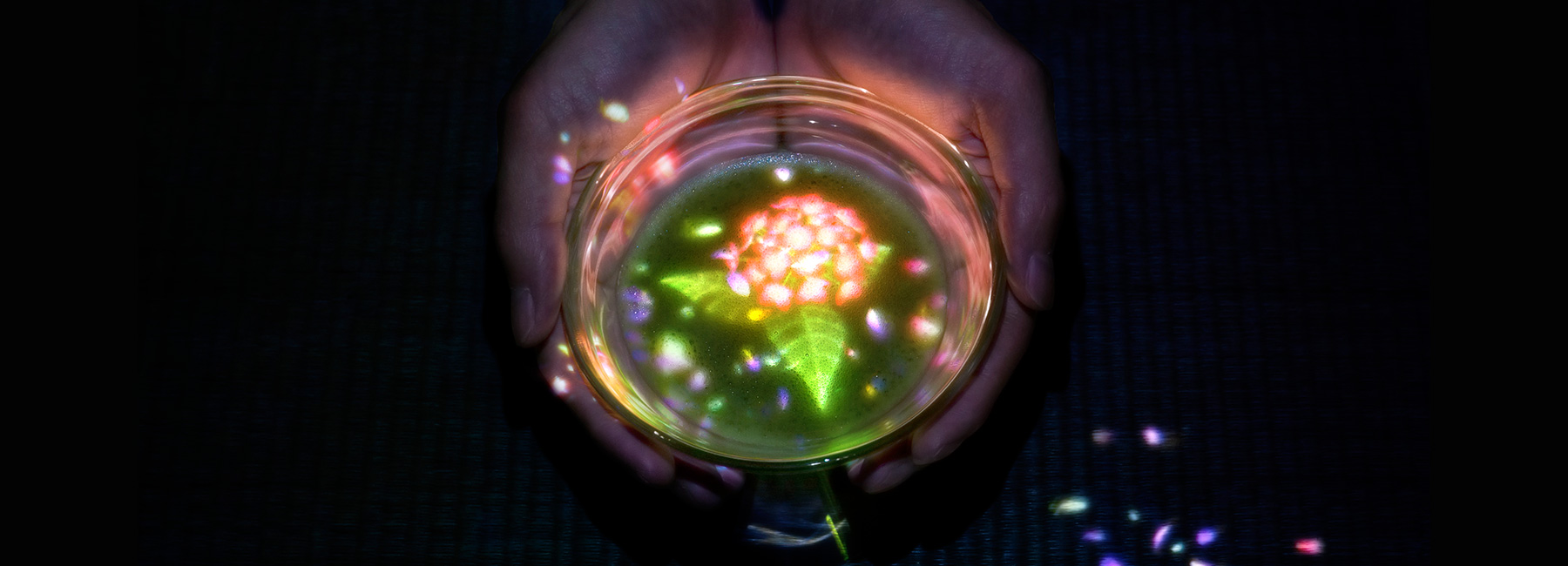 teamlab | designboom.com