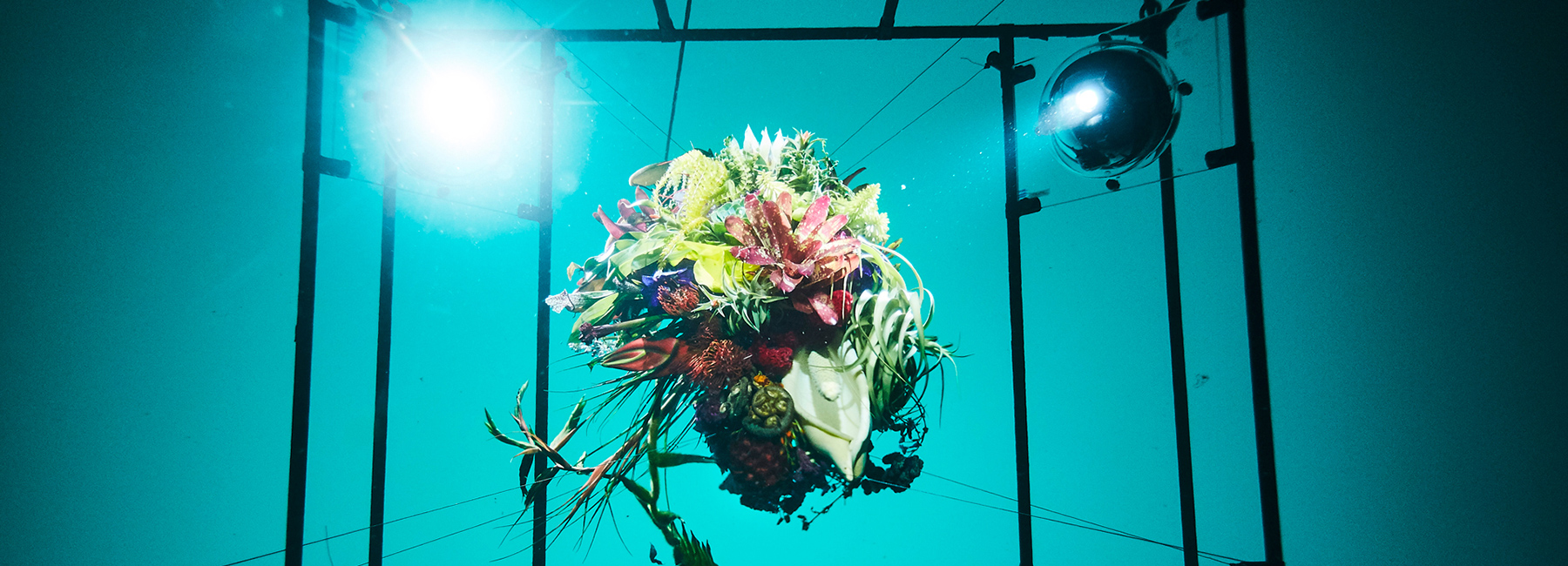 azuma makoto plunges intricate bouquets into the abyss of the deep sea